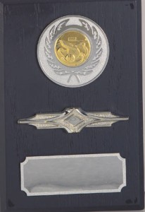 ΠΛΑΚΕΤΑ ΣΕ ΞΥΛΟ 8660 10x15cm